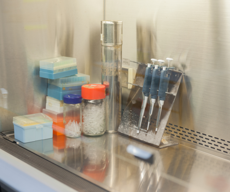 How Does a Ductless Fume Hood Work? - Fisher American